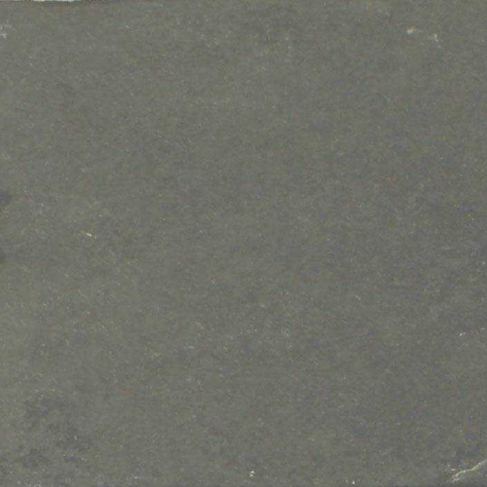 Forest Gray Stone Drink Coasters